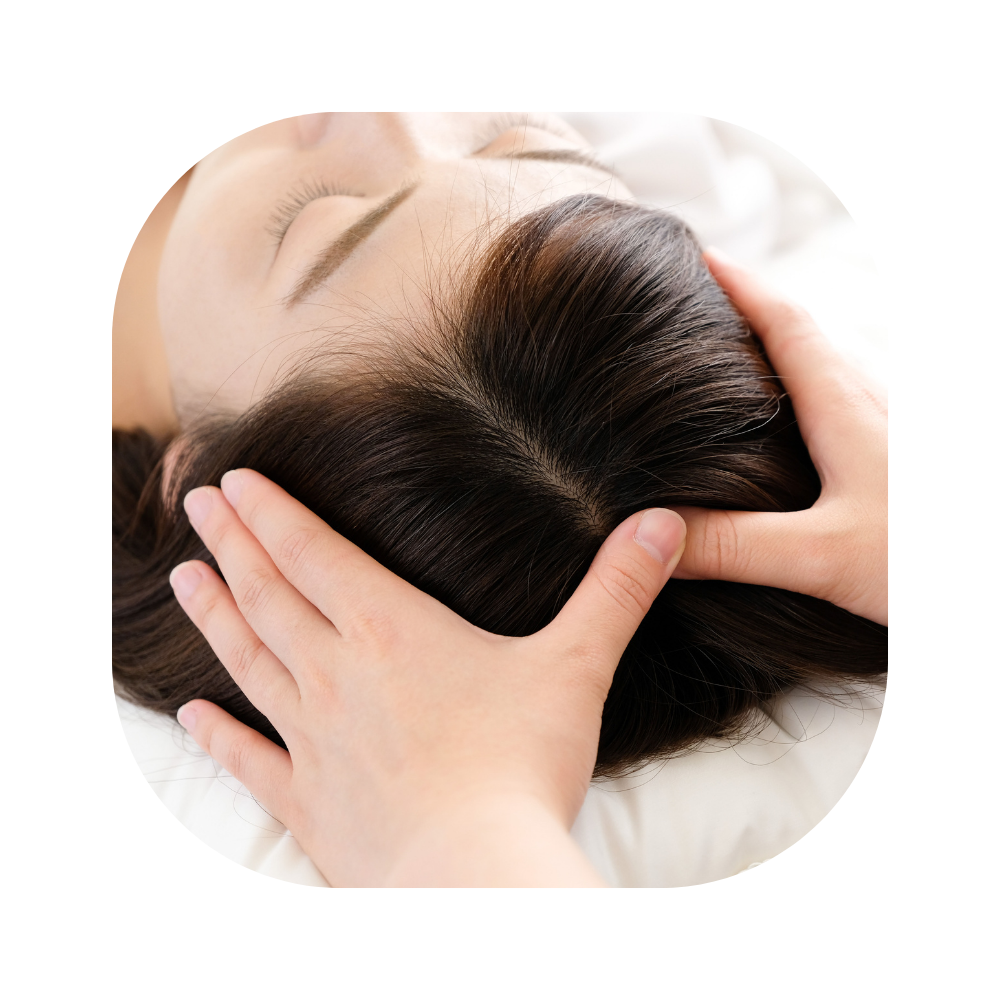 OlyLife Tera-P90+ PEMF Therapy Machine