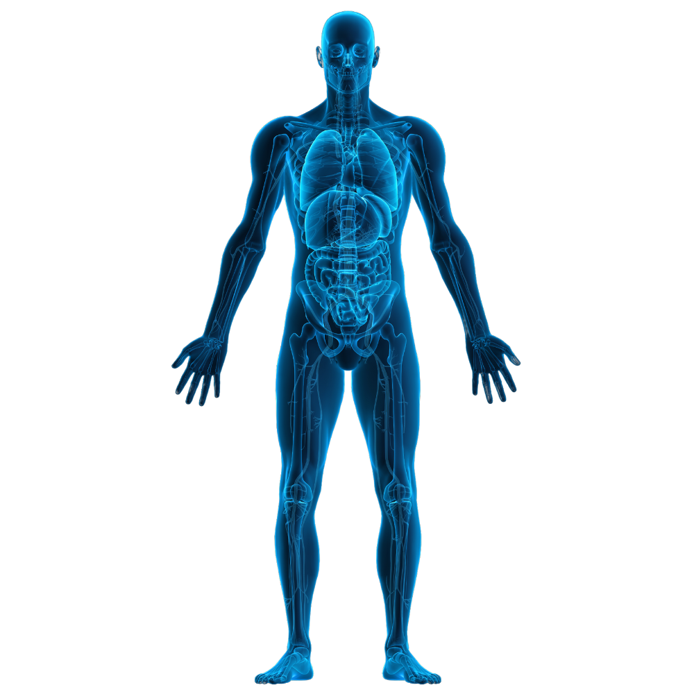 OlyLife Tera-P90 PEMF Therapy Machine