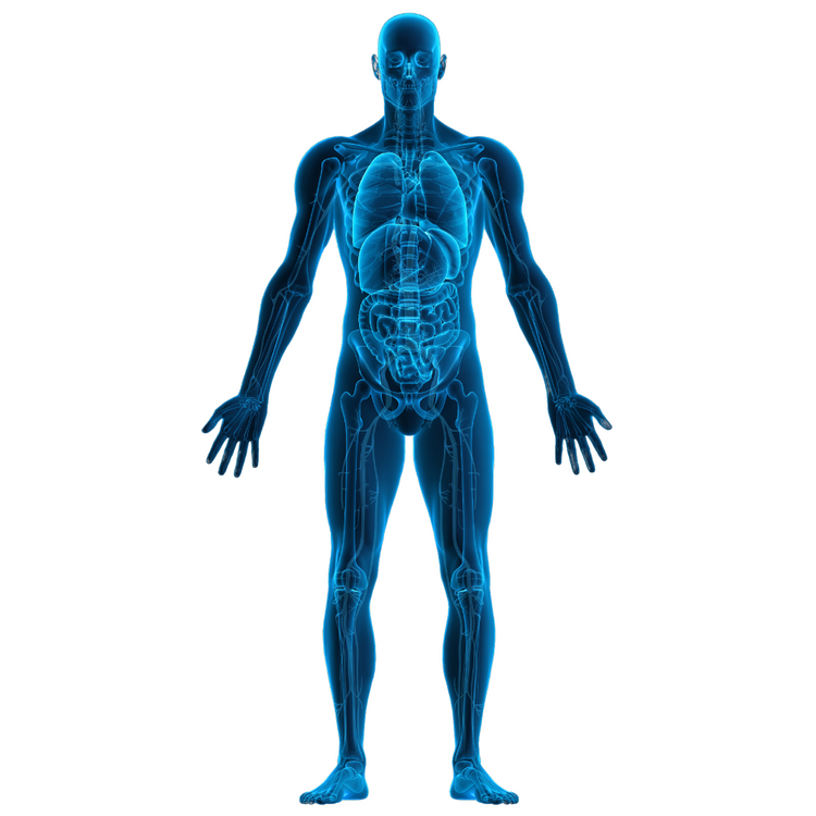 OlyLife Tera-P90 PEMF Therapy Machine